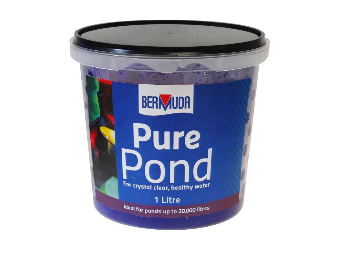 Bermuda Pure Pond 1L – Pond Bacteria for Clear Water – Swallow Aquatics